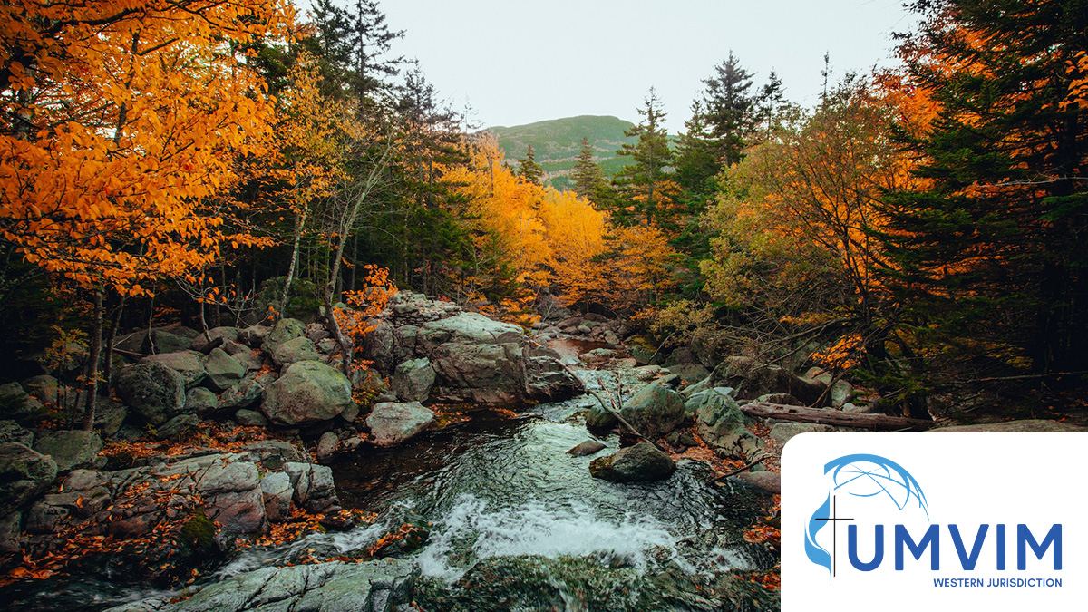 Getting back to helping people and the 'in-between' times - Greater ...